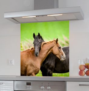 2 Horses design Splashback | Kitchen Glass Splashbacks by Purple Frog